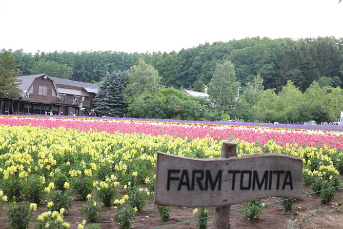 Asahiyama Zoo, Aoiike, Farm Tomita, Ningle Terrace (from Sapporo) - Exploring Aoiike and Farm Tomita