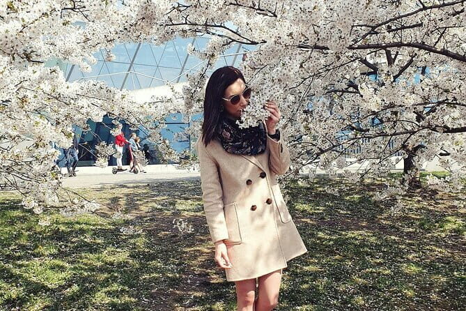 Asakusa: Cherry Blossom Viewing and History Tour - Key Points