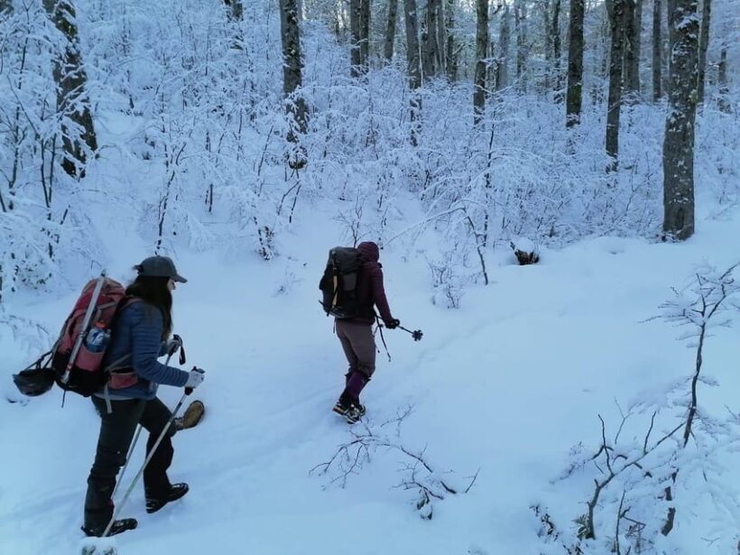 Ascent to Quetrupillán volcano 2370masl, from Pucón - Who Would Love This Tour?