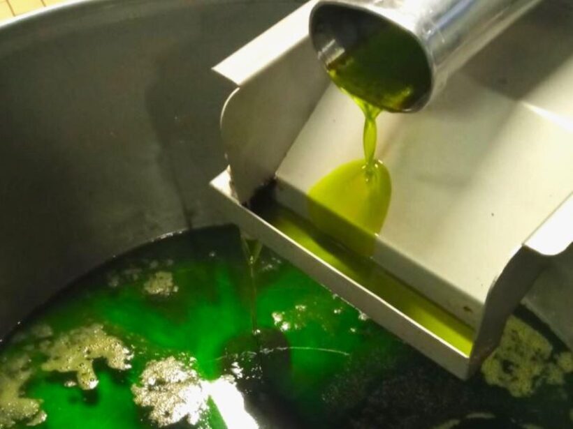 Ascoli Piceno: Olive Oil Tasting with local products - FAQ