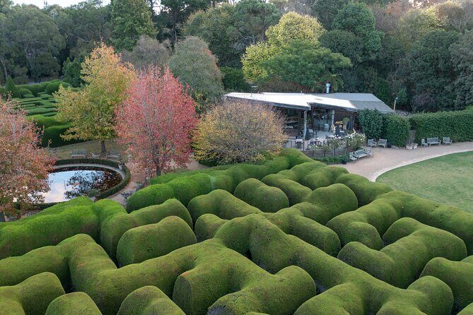 Ashcombe Maze & Lavender Gardens - A Closer Look at Ashcombe Maze & Lavender Gardens