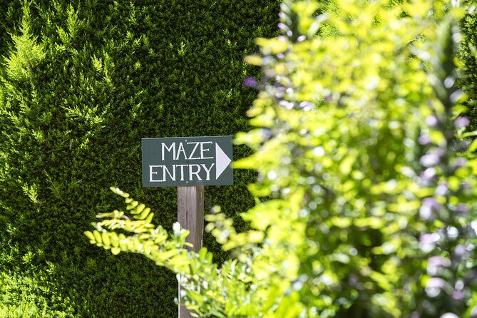 Ashcombe Maze & Lavender Gardens - Final Thoughts