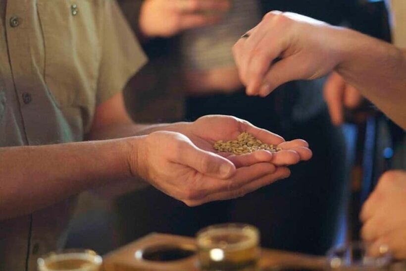 Asheville: 3 Brewery Walking Tour with Tastings - Key Points