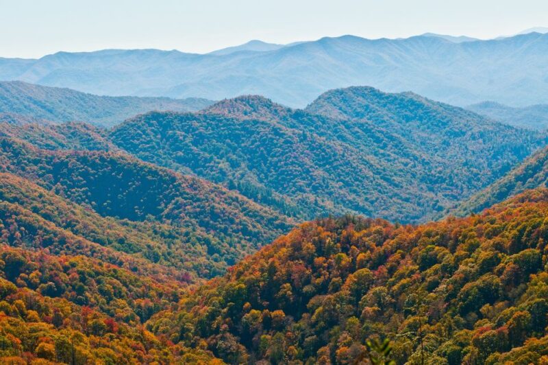 Asheville: Blue Ridge Mountains Tour for Children! - What’s Included and What’s Not