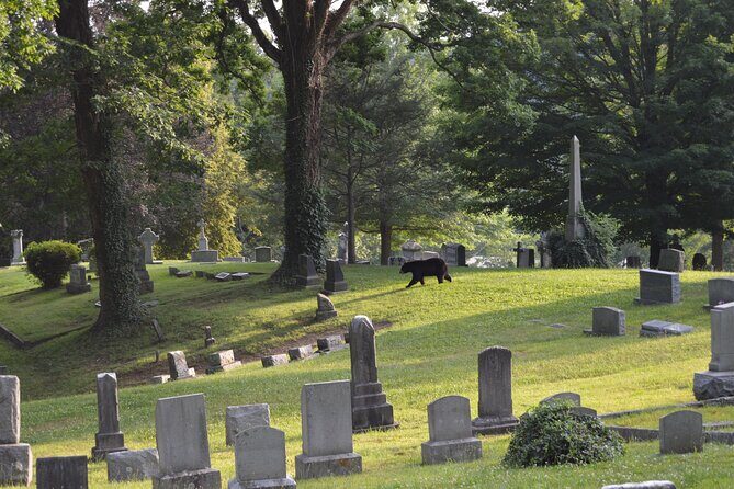 Asheville Ghost Tour: A Walk Through Riverside Cemetery & Montford Neighborhood - In The Sum Up