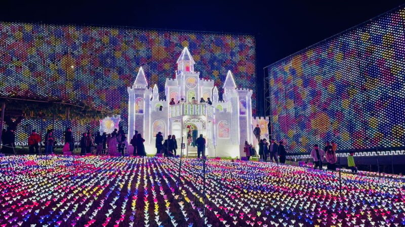 Ashikaga Flowers Park One Day Attractive Tour - Key Points