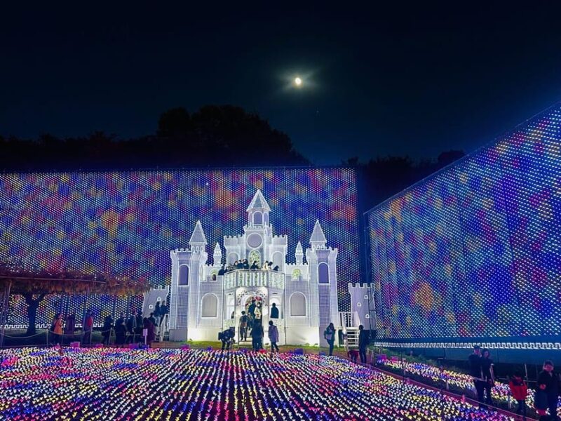 Ashikaga Flowers Park One Day Attractive Tour - Itinerary Highlights