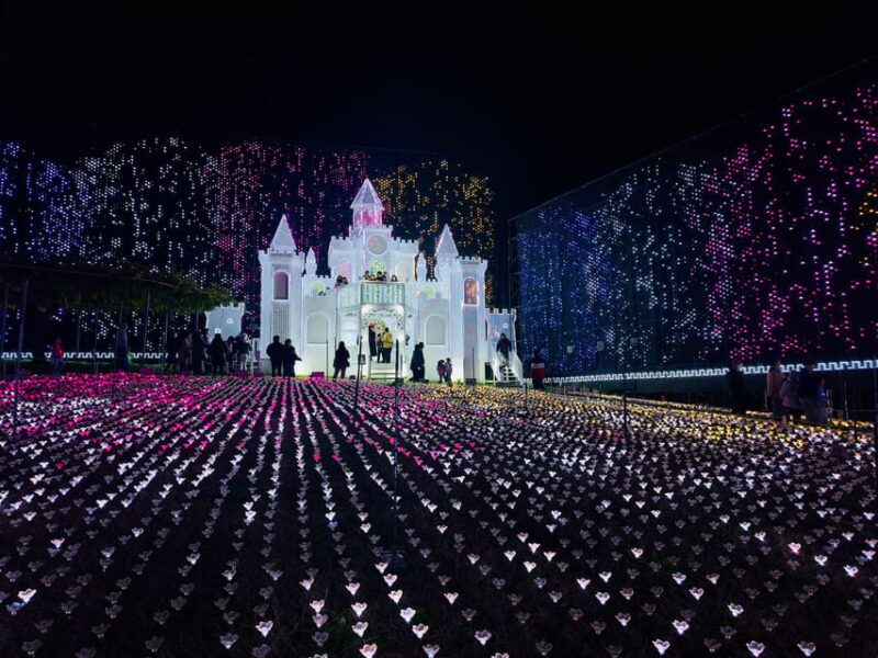 Ashikaga Flowers Park One Day Attractive Tour - Optional Activities
