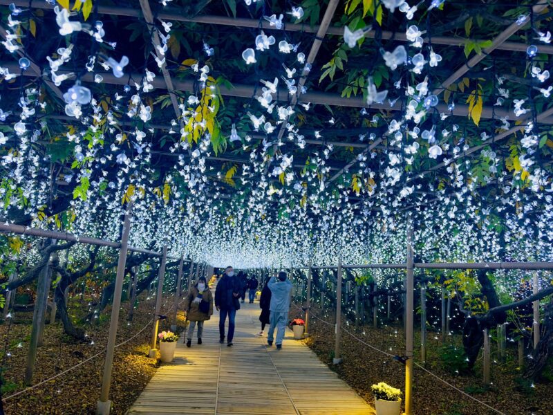 Ashikaga Flowers Park One Day Attractive Tour - Ashikaga Flowers Park