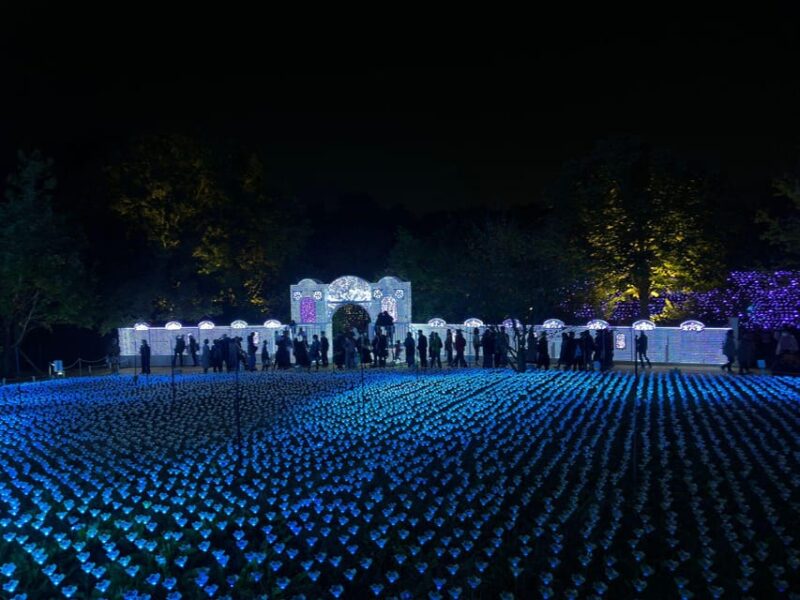 Ashikaga Flowers Park One Day Attractive Tour - Ashikaga Orihime Jinja Shrine