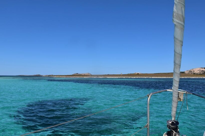 Asinara: sailing experience among the coves of the island - Why This Tour Stands Out