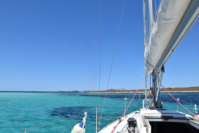 Asinara sailing experience among the coves of the island - Key Points
