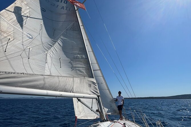 Asinara sailing experience among the coves of the island - The Itinerary: What to Expect on the Water