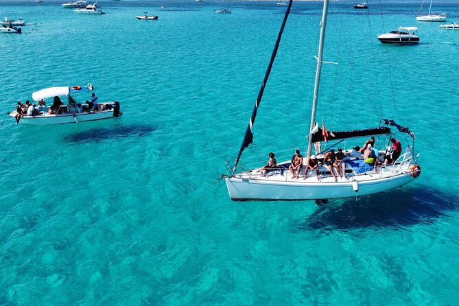 Asinara: Sailing trip in the park of Asinara - A Deep Dive into the Experience