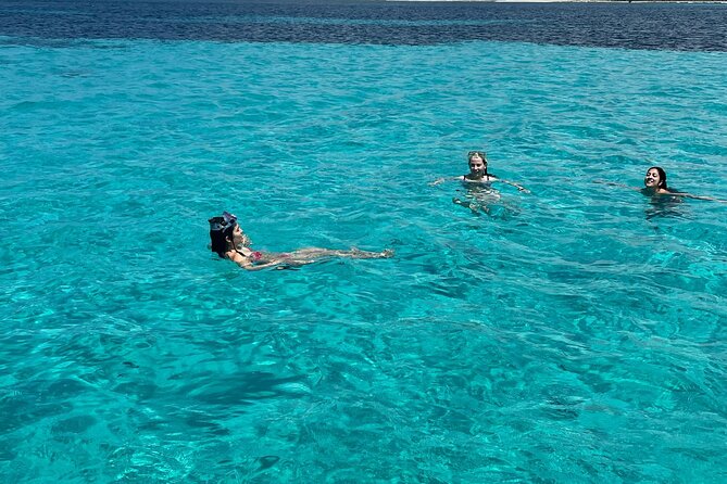 Asinara: Sailing trip in the park of Asinara - Frequently Asked Questions