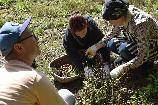 Aso Caldera and Farm Experience Tour - Itinerary and Experience