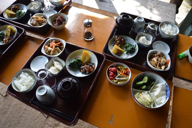 Aso Caldera and Farm Experience Tour - Tour Highlights