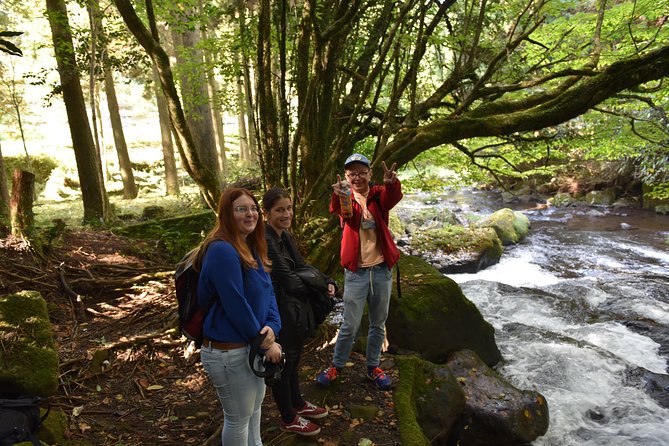 Aso Caldera and Farm Experience Tour - Insider Tips