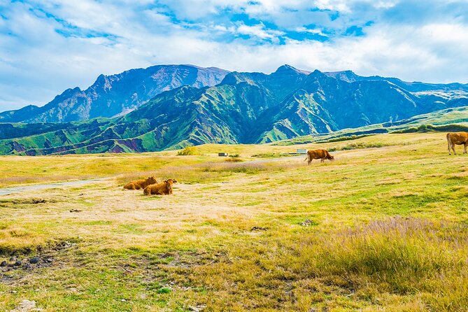 Aso Vocano, Grassland,Onsen and Aso Shrine 1-Day Tour - Itinerary and Highlights