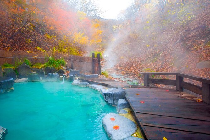 Aso Vocano, Grassland,Onsen and Aso Shrine 1-Day Tour - Customer Feedback