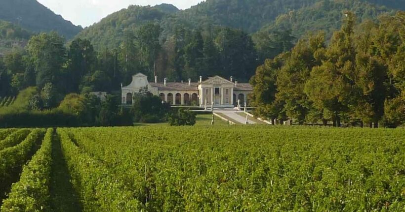 Asolo: Prosecco and Art - private tour&taste with Sommelier - Key Points