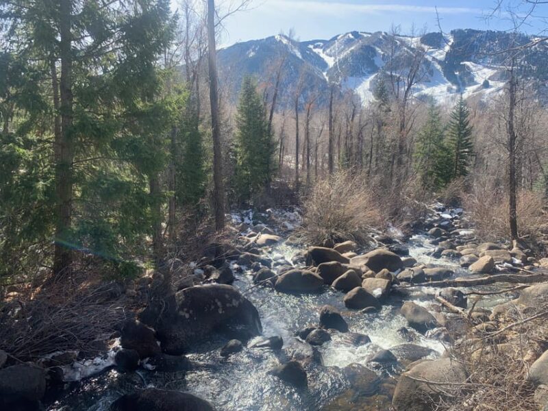 Aspen: Guided Light Hike with Roaring Fork River Views - Key Points