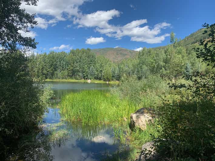 Aspen: Guided Light Hike with Roaring Fork River Views - What You’ll Experience