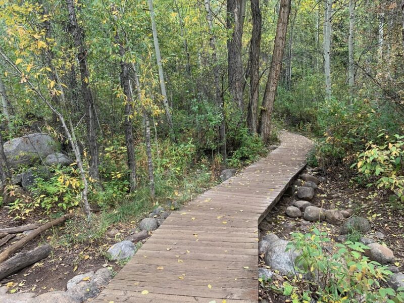 Aspen: Guided Light Hike with Roaring Fork River Views - The Value of the Experience