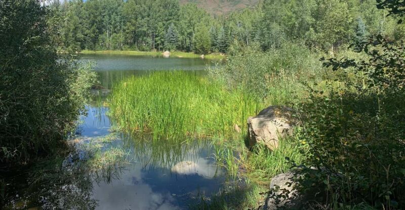 Aspen: Guided Light Hike with Roaring Fork River Views - Practical Tips for Enjoying Your Hike