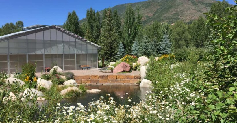 Aspen's Off the Beaten Path Scenic Walking Tour - Key Points
