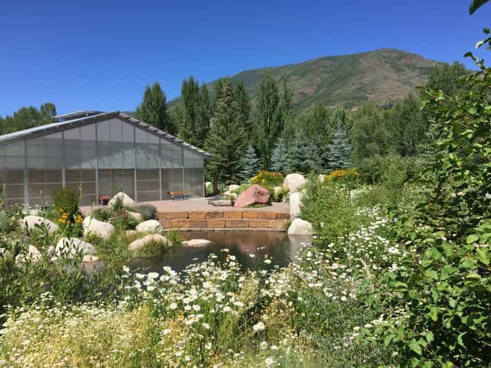 Aspen's Off the Beaten Path Scenic Walking Tour - A Deep Dive into the Tour Experience