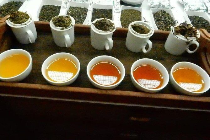 Assam Tea Tour, Wildlife, Tribal village & Tea Bungalow stay 2 Nights 3 Days - An In-Depth Look at the Assam Tea Tour