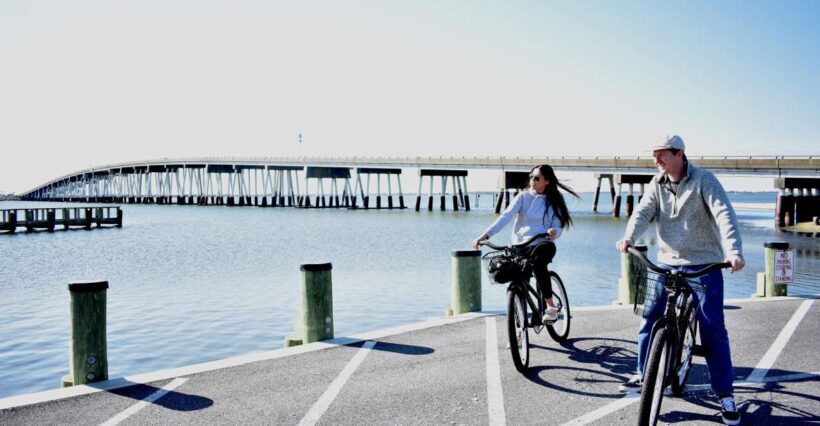 Assateague Island: Bicycle Rental from the Visitor Center - The Experience: What You’ll See and Do