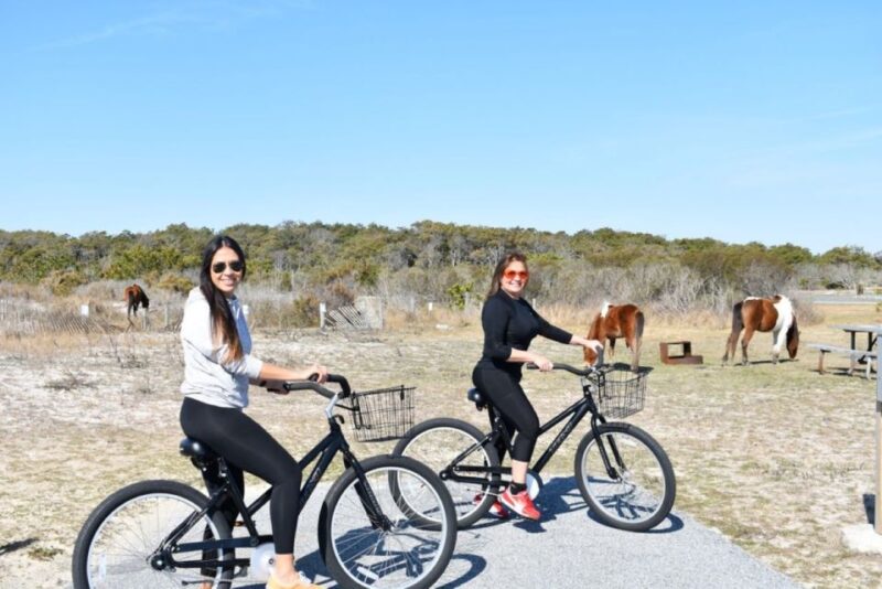 Assateague Island: Bike Rental from the Bayside Stand - Who Will Love This?