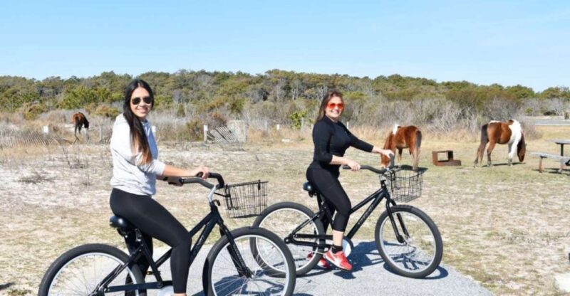 Assateague Island: Bike Rental from the Bayside Stand - FAQ