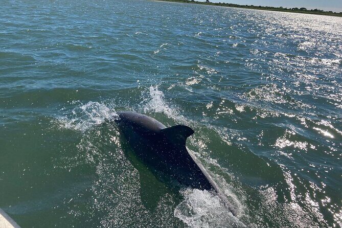 Assateague Island Cruise Departs from Ocean Pines - An Overview of the Assateague Island Cruise Experience