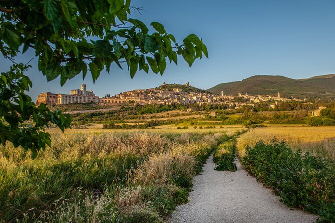 Assisi: 3-hours tour including St. Francis Basilica tickets - The Sum Up