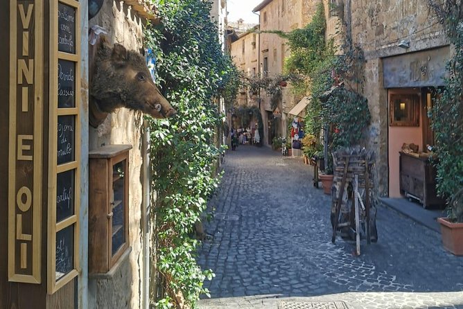 Assisi and s. Francis Basilicas Day Tour from Rome - Who Will Love This Tour?