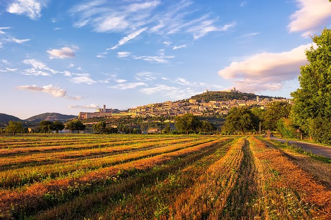 Assisi Best Highlights a Private Tour With Licensed Tour Guide - Meeting Point and Schedule