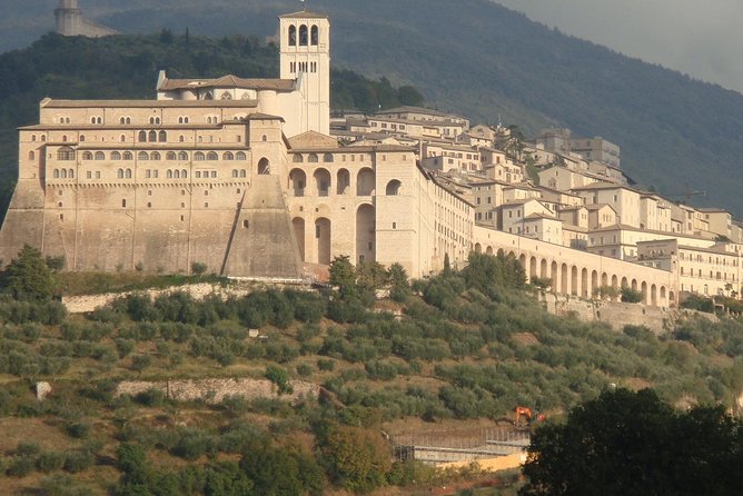 Assisi, City Highlights and Basilica of St. Francis Tour - Tour Experience and Feedback