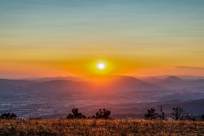Assisi, City Highlights and Basilica of St. Francis Tour - Exploring Beyond the Tour