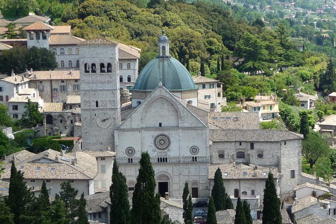 Assisi, Deruta & organic gourmet lunch at the olive oil farmhouse from SIENA - Exploring Assisi: Art, Spirit, and Giotto