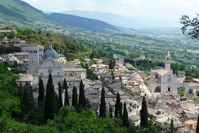 Assisi, Deruta & organic gourmet lunch at the olive oil farmhouse from SIENA - Authentic Experiences and Highlights Based on Feedback