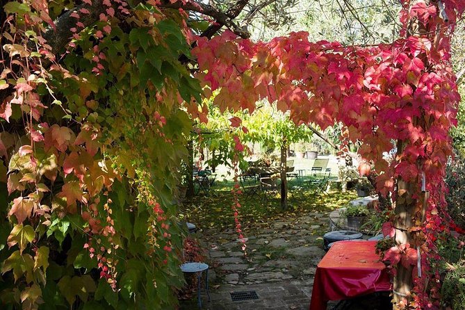 Assisi, Deruta & organic gourmet lunch at the olive oil farmhouse from SIENA - The Sum Up: The Value of a Well-Rounded Italian Day