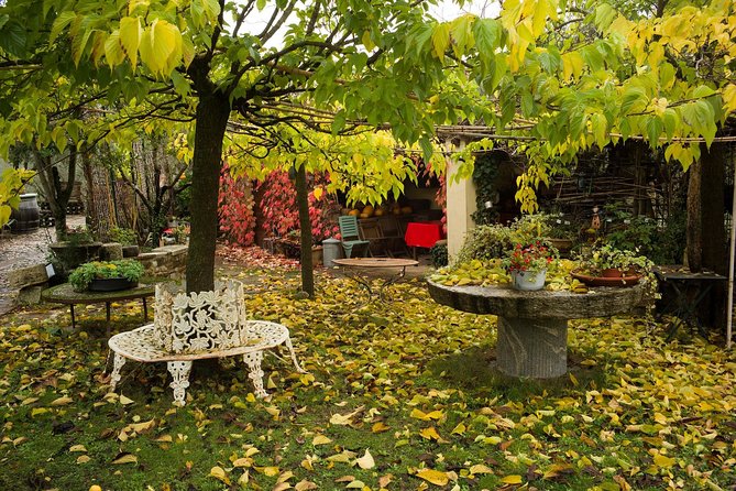 Assisi, Deruta & organic gourmet lunch at the olive oil farmhouse from SIENA - FAQ