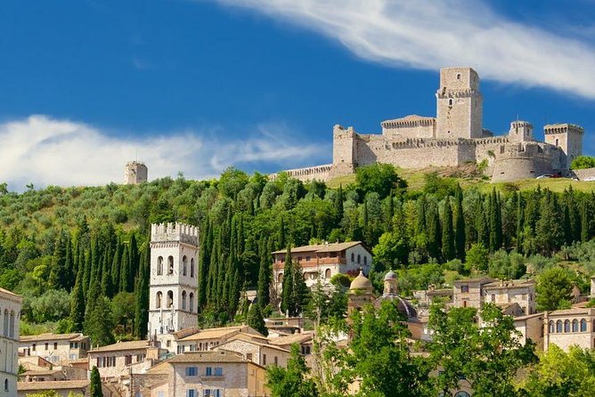 Assisi One Day Trip Private Excursion From Rome - Traveler Reviews and Feedback