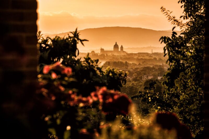Assisi: Organic Balsamic Vinegar, Olive Oil & Wine Tour - Who Will Love This Tour?