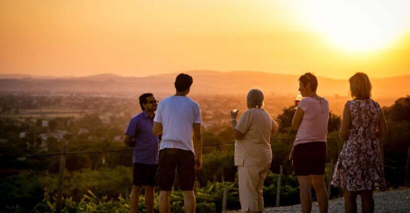 Assisi: Organic Winery Tour with Tastings & Typical Food - An In-Depth Look at the Assisi Organic Winery Tour