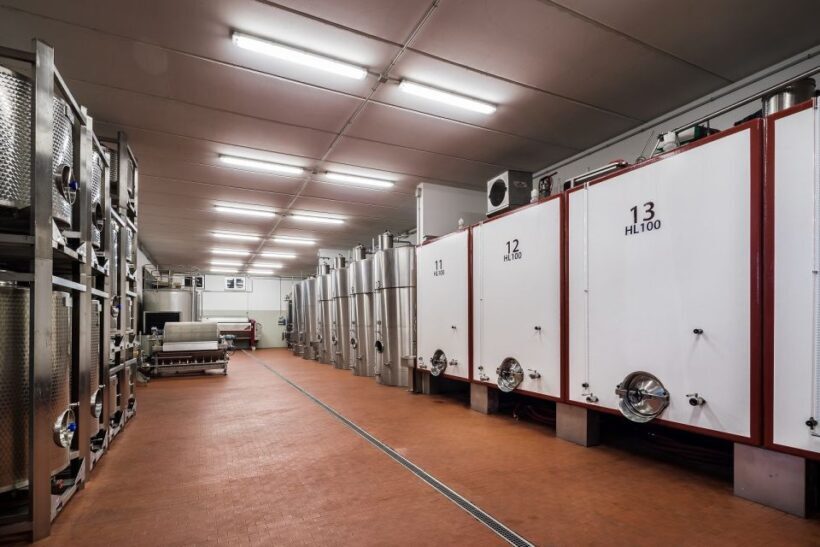 Assisi: Organic Winery Tour with Tastings & Typical Food - FAQ