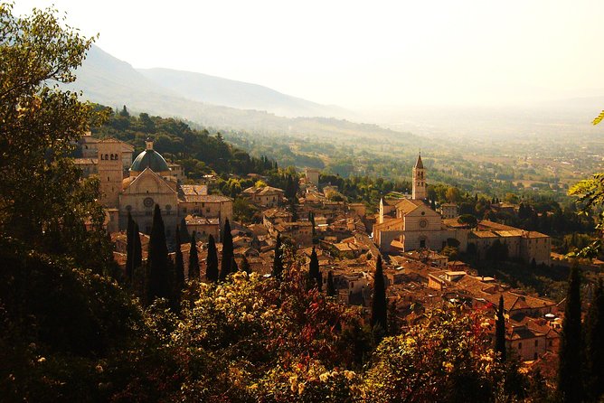 Assisi: the Three Major Basilicas. St. Francis, St. Clare and Porziuncola Chapel - Guided Tour Experience